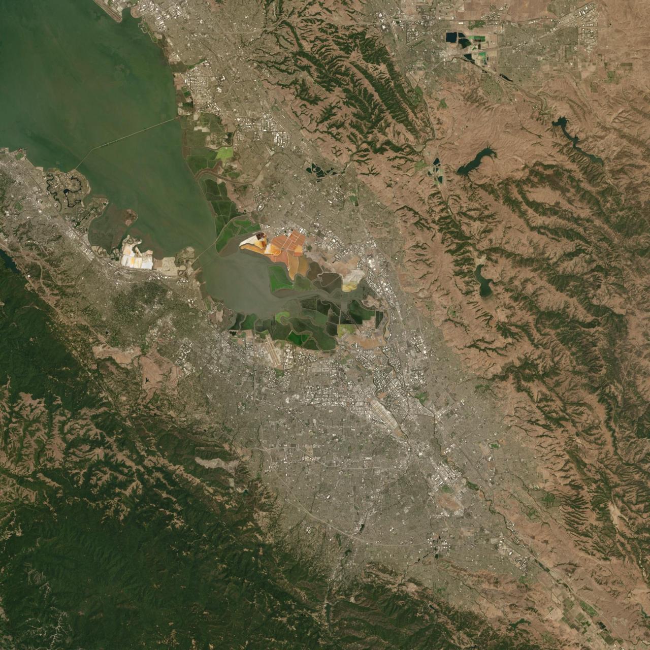 Unlocking the Potential of Geospatial Data: Descartes Labs’ Innovative ...