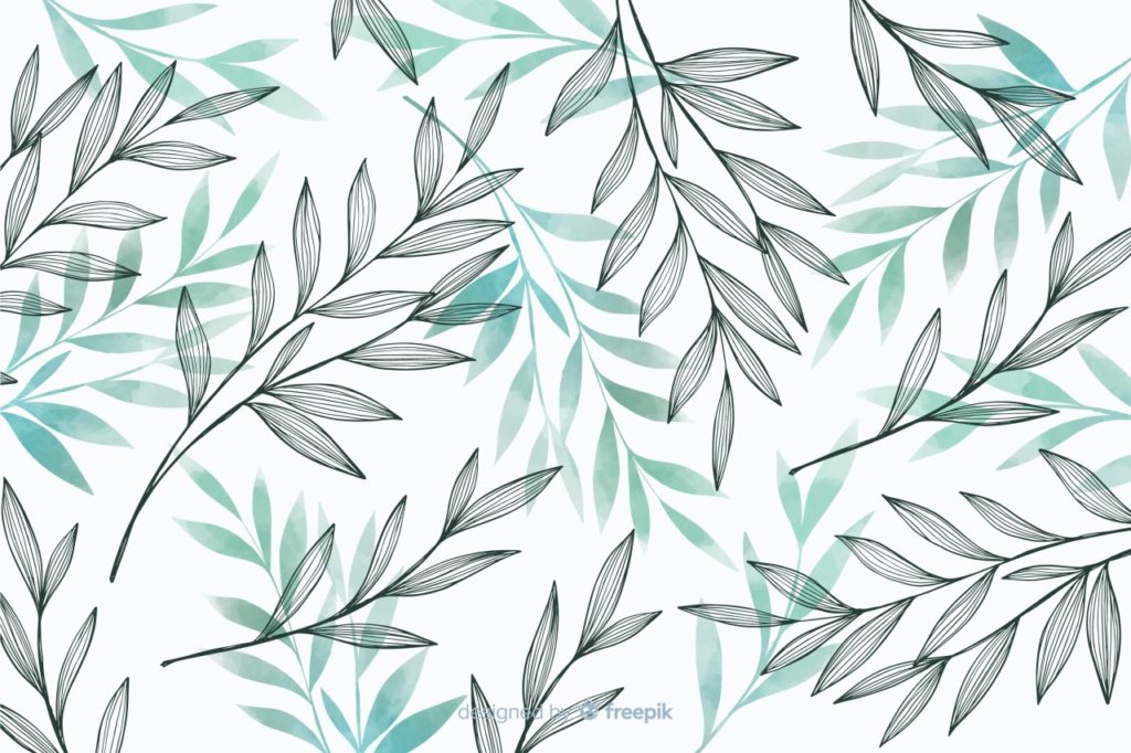 Freepik's New Chapter: EQT's Acquisition and What It Means for Digital ...