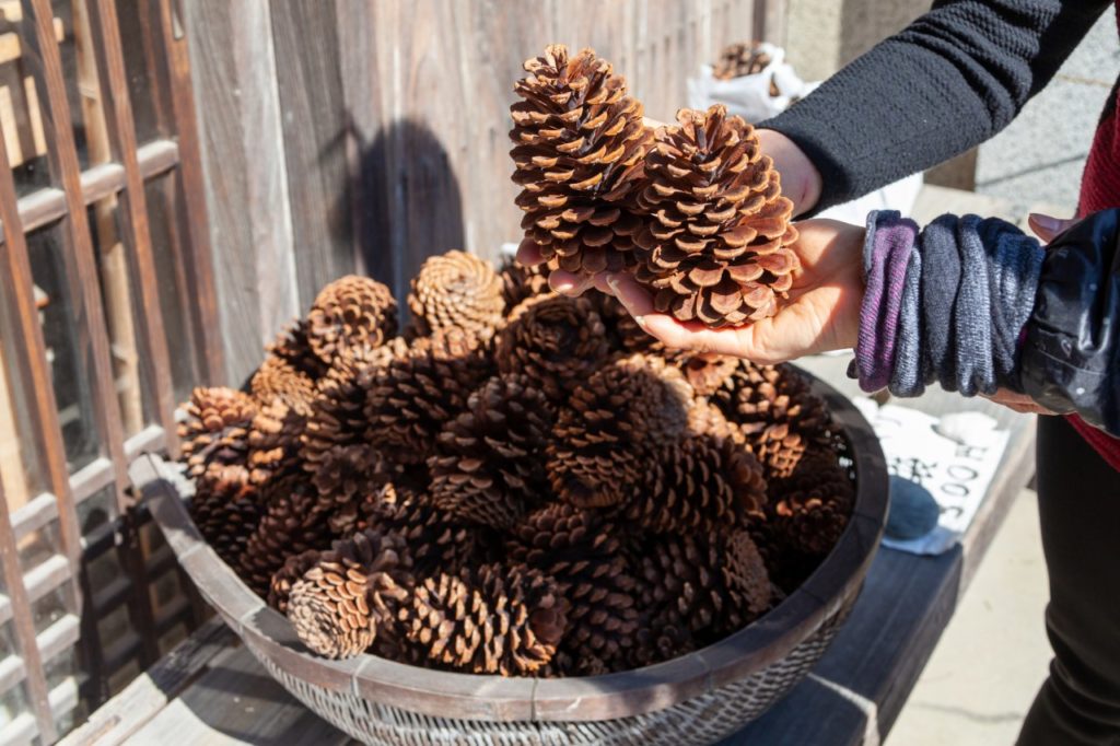 Pinecone's Leap: Transforming AI-Driven Search with a $28M Series A fxis.ai