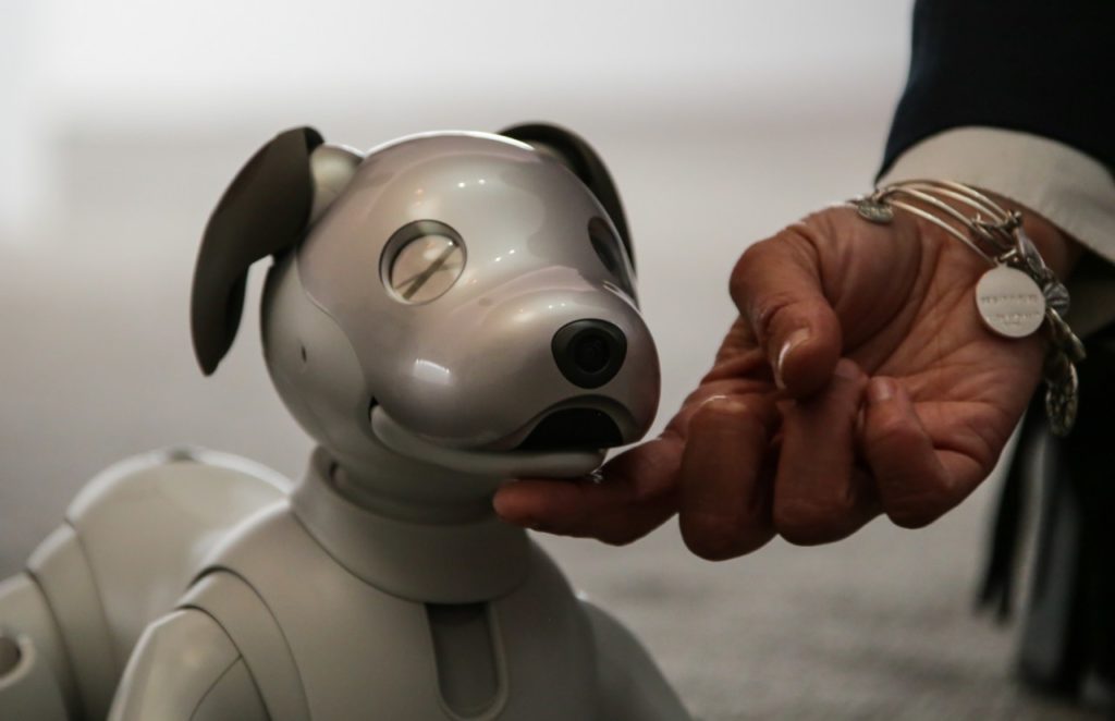 The Robotics Revolution: Sony's Aibo - A Glimpse into the Future of ...