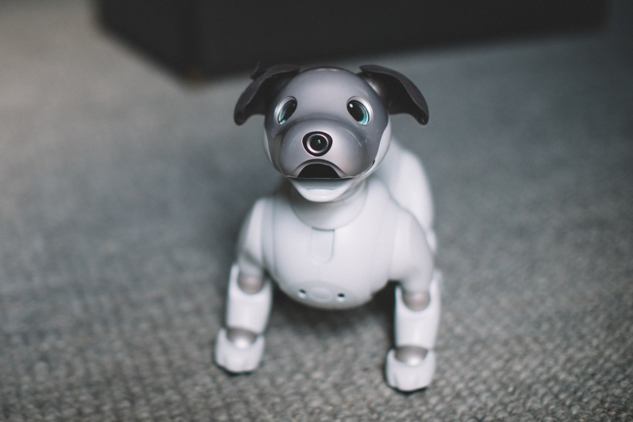 Aibo 2.0: The Robotic Companion Reimagined fxis.ai